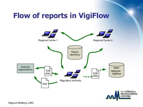 Vigi Flow Data Entry