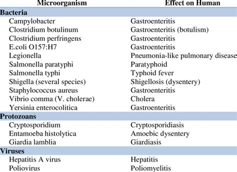 Examples Of Common Waterborne Pathogens Download Scientific Diagram