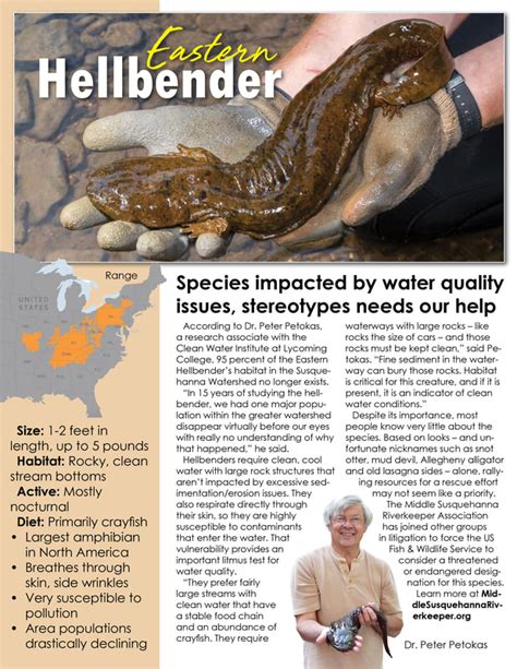 Hellbender Salamander Range