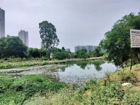 No Scientific Or Ecological Basis For Reducing Lake Buffer Zones