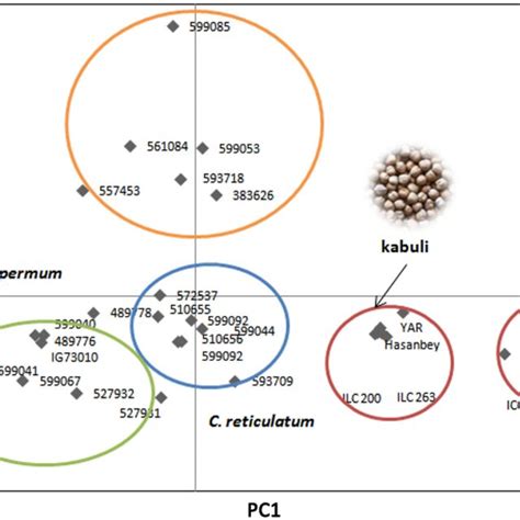Allelic Patterns And Gene Diversity Across Cultivated And Wild Download Scientific Diagram