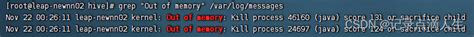 记录一次因内存不足而导致hiveserver2和namenode进程宕机的排查查看hiveserver2内存使用情况 Csdn博客