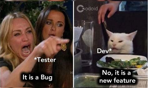 Coding Humour Softwareengineering Softwaredevelopment Tech Career Rohit Doshi 23 Comments