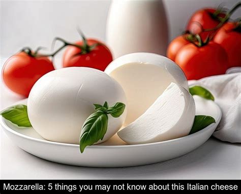 Mozzarella 5 Things You May Not Know About This Italian Cheese