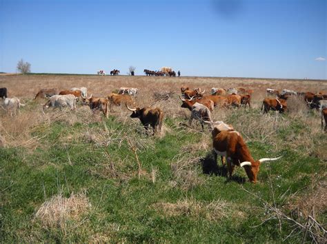 2024年7月bucklin旅游景点攻略 Bucklin旅游住宿 Bucklin旅游美食 猫途鹰