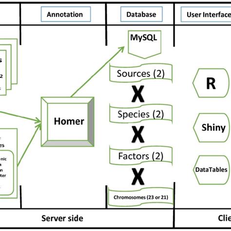 Kmer Svm Analysis Of Sequence Determinants Of Cell Type Specific Gr