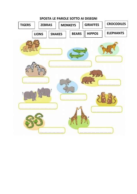 Wild Animals Online Exercise For Class 2