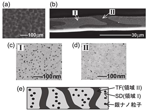 Phase Separation Behaviors Of Polyimide Blend Silver Nanoparticles