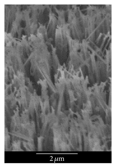 Randles Sevcik Plot Of Peak Current Versus Square Root Of Scan Rate