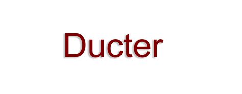 Ducter Server Service