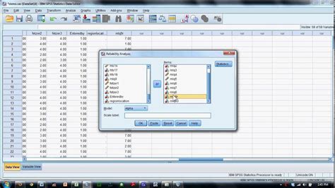 Computing Scale Scores In Spss Youtube