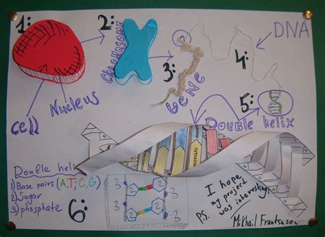 Genetics Super Posters