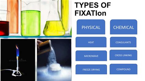 Fixatives Used In Tissue Processing Histopath Techniques Pptx