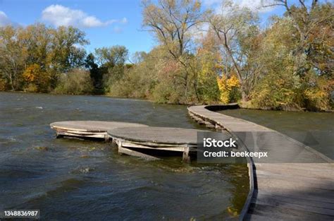 나무 판자로 만든 떠있는 산책로 기둥의 좁은 곡선 길은 호수 물 위 바닥으로 구동된다 난간이 없습니다 개별 원형 보드로 만든 더 많은 디자인 보도 가을 방파제 0명에 대한