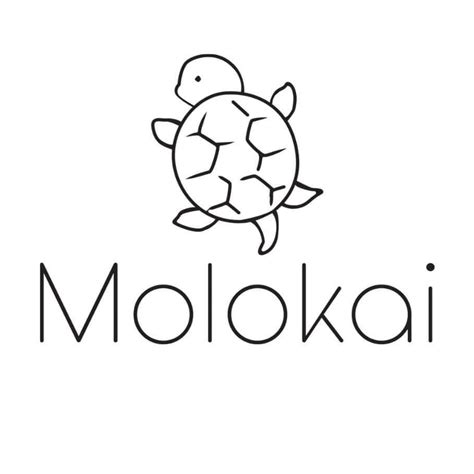 Molokai Bikini Scopriamo Insieme B R A I E S 🌲 Il Nuovo Modellino