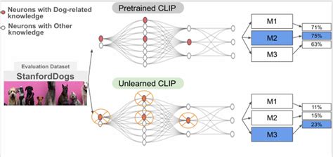 Rethinking Few Shot Clip Benchmarks A Critical Analysis In The Inductive Setting Iccv 2025