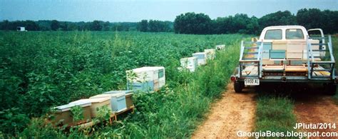 Beekeeping Beekeeper Honey Bees Pollen Wax Candle Propolis Queen Nuc