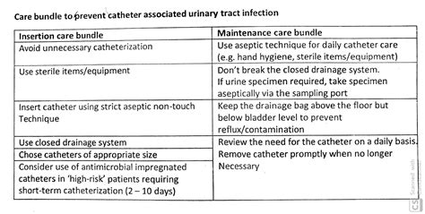 Importance Of Infection Prevention From Cauti And Use Of Care Bundle