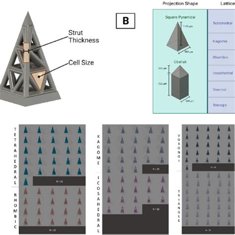 Lattice Maps L Maps A L Maps Are Comprised Of Cells With A Cell Download Scientific