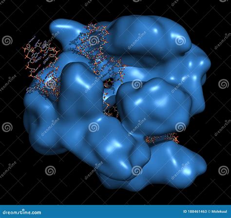 Crispr Cas9 Gene Editing Complex From Streptococcus Pyogenes The Cas9