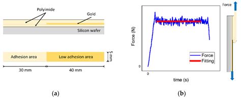 Understanding Surface Adhesion In Nature A Peeling Model