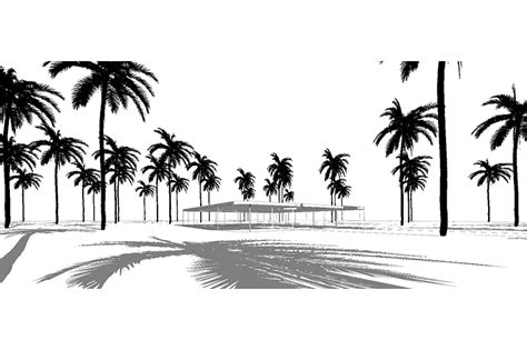Coconut Tree For Revit Goto Archi