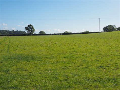 Large Grass Area Images Free Download On Freepik