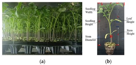 Vision Based A Seedling Selective Planting Control System For Vegetable Transplanter