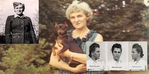 Braunsteiner Ryan Hermine Mémoires De Guerre