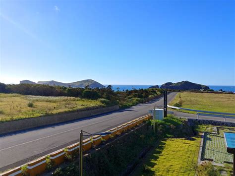 제주고산리유적