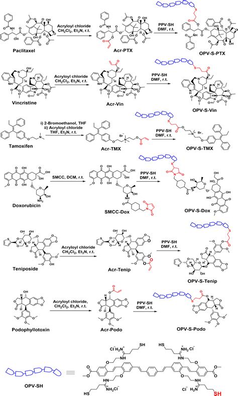 In Situ Induced Multivalent Anticancer Drug Clusters In Cancer Cells For Enhancing Drug Efficacy