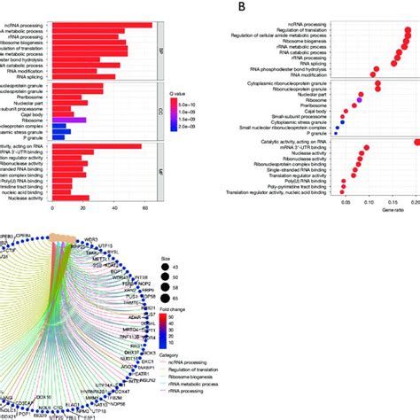 Differential Gene Analysis Of Oa A Volcanic Map Of Differential Gene