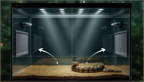 Ball Python Proper Ventilation Setup Guide And Best Products