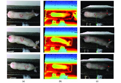 The Dataset Fragment A Color Images B Depth Images C Color