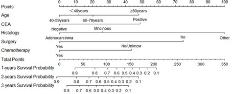 nomogram for predicting 1 2 and 3 year css of t1n0 patients with dm