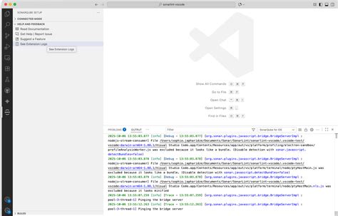 Unable To See Issues In Sonarqube Panels Of The Vs Code Ide Vs Code