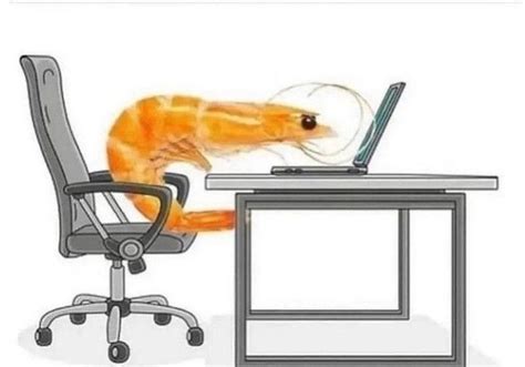 Shrimp Silly Memes Really Funny Pictures Reaction Pictures