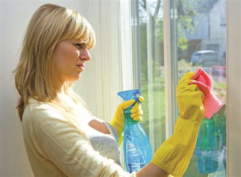 Keep Your Windows Clean — The Indian Panorama