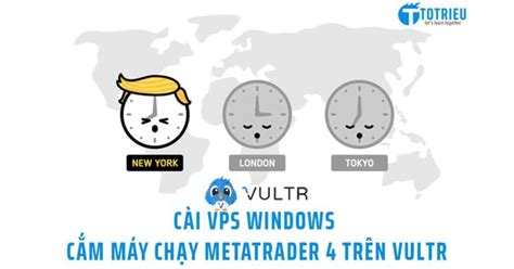 DỊch VỤ CÀi Vps Forex ChẠy Metatrader 2424