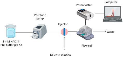 Biosensors Free Full Text Enhancing Glucose Biosensing With