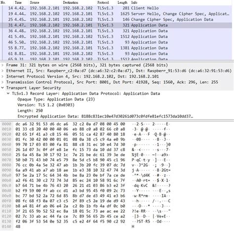 The Packet Is Encrypted By Tls 1 3 Download Scientific Diagram