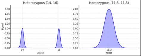 Str Analysis Explained — Ande®