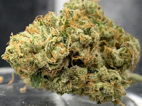 Flower Indica