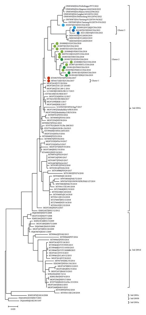 The Maximum Likelihood Tree Based On Viral Vp1 Sequences Shows The