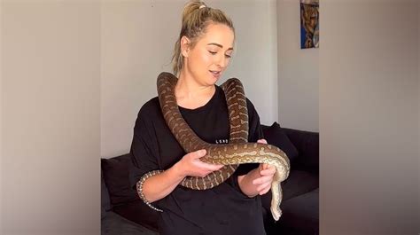 Adult Film Stars Pet Python Bites Scene Partners Penis Ive Never