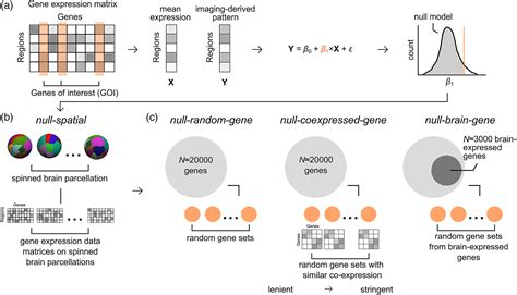 Gene Expression Matrix At Janice Hogan Blog