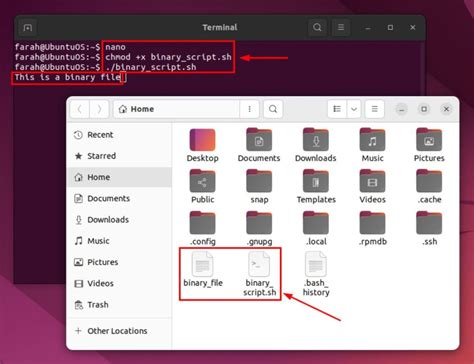 How To Run Binary Files In Linux 2 Best Ways