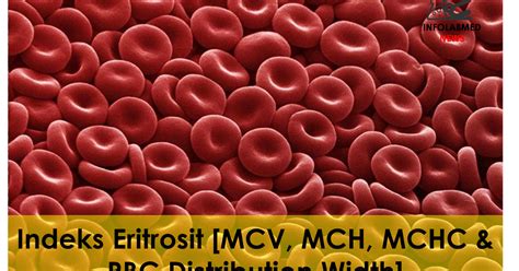 indeks eritrosit [mcv mch mchc and rbc distribution width]