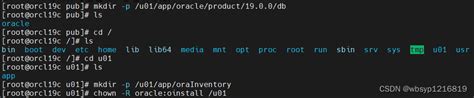 oracle 19c安装实操 oracle19c配置环境变量 csdn博客