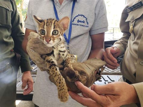 លោក នេត្រ ភក្ត្រា